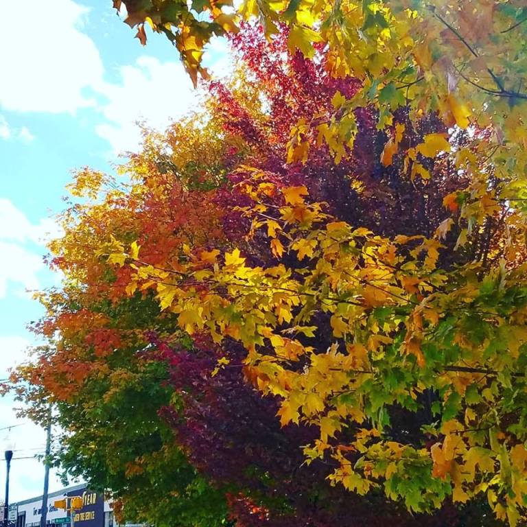 A Beautiful Fall Day | The Ministry of Happiness