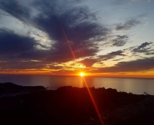 My COVID Times Diary – Silver Lining | The Ministry of Happiness